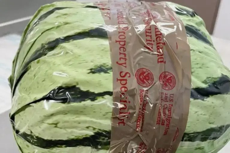 Customs Seize Fake Watermelons With 5m Worth Of Illicit Drugs
